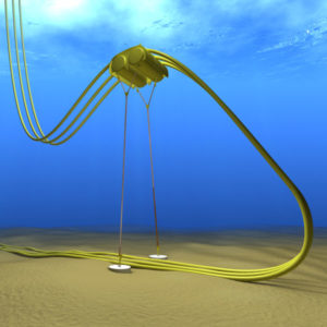 Who We Are - Cortland